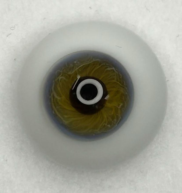 18mm Half Round Real Life Glass Eyes -Green Brown