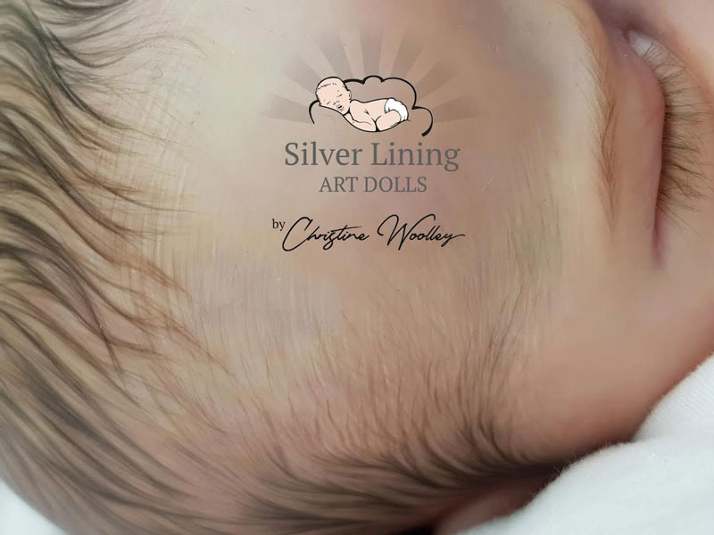 Silver Lining Art Dolls ~ 3D Reborn Hair Painting Kit – Brown Hair by ...