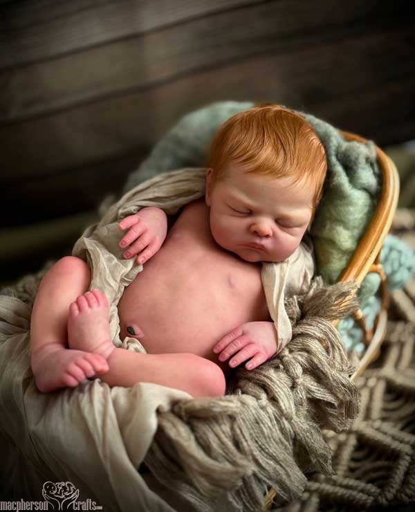 Adelaide by Samantha Gregory