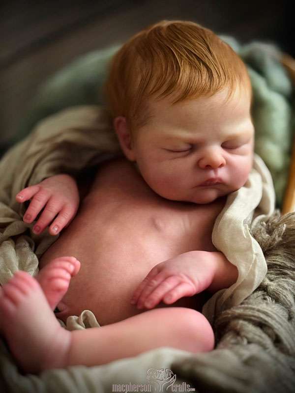 Adelaide by Samantha Gregory