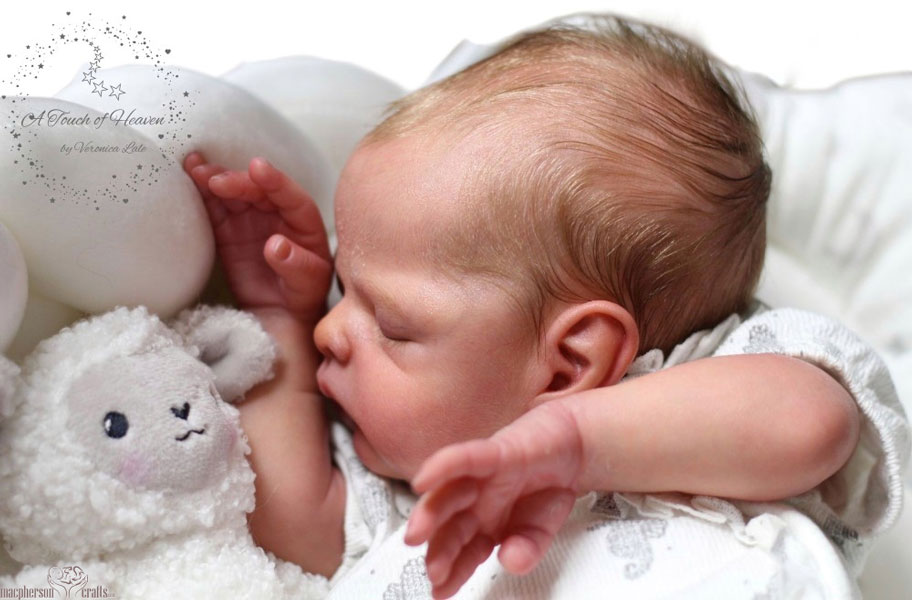 Adelaide by Samantha Gregory