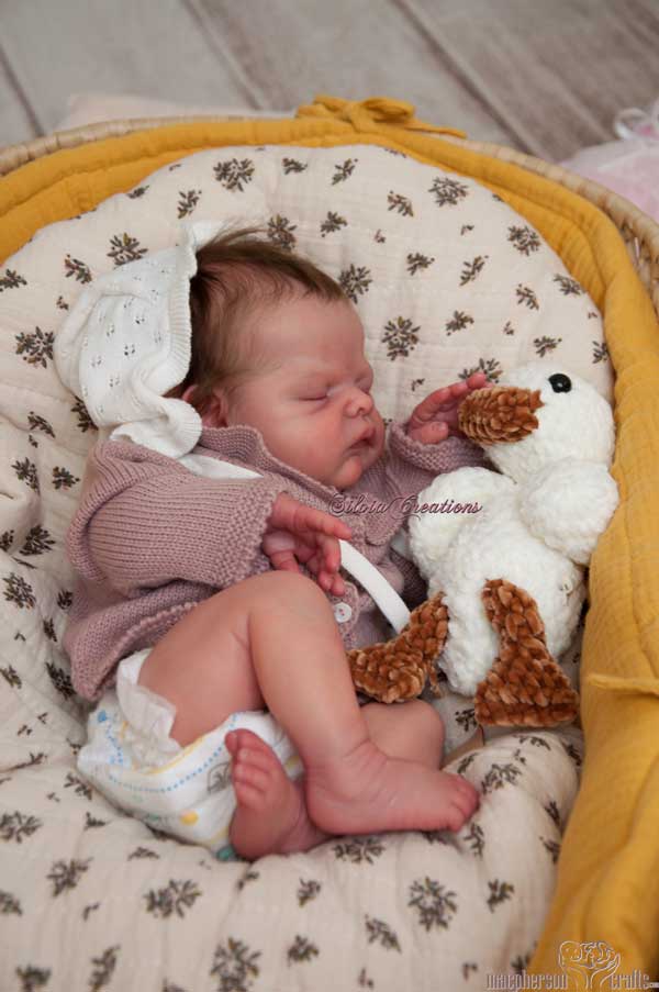 Adelaide by Samantha Gregory