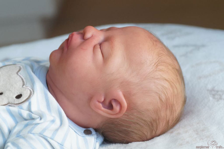 Aerith Cuddle Head by Kristie Sohn- Carwithen