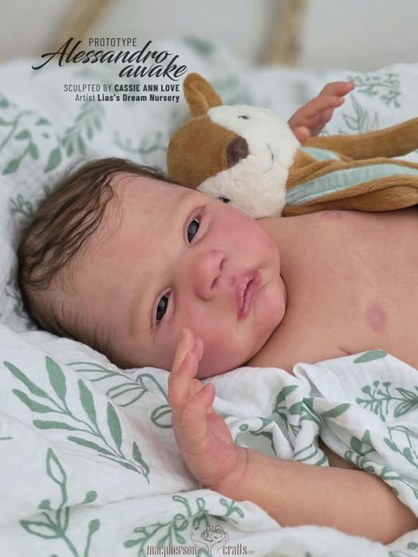 Alessandro Awake by Cassie Ann Love