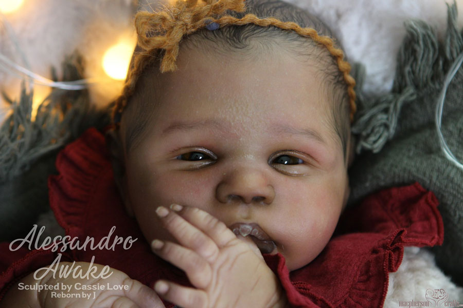 Alessandro Awake by Cassie Ann Love