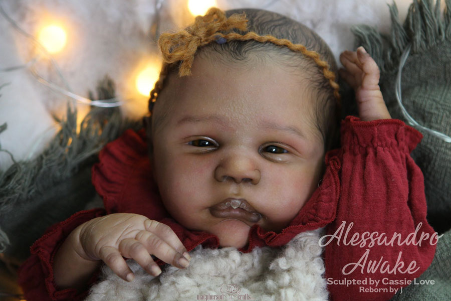 Alessandro Awake by Cassie Ann Love