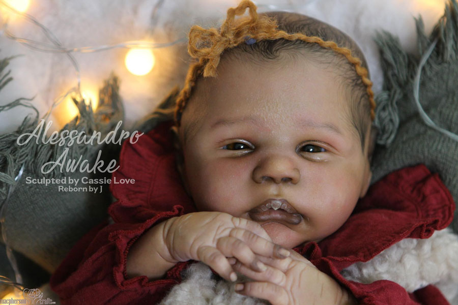 Alessandro Awake by Cassie Ann Love
