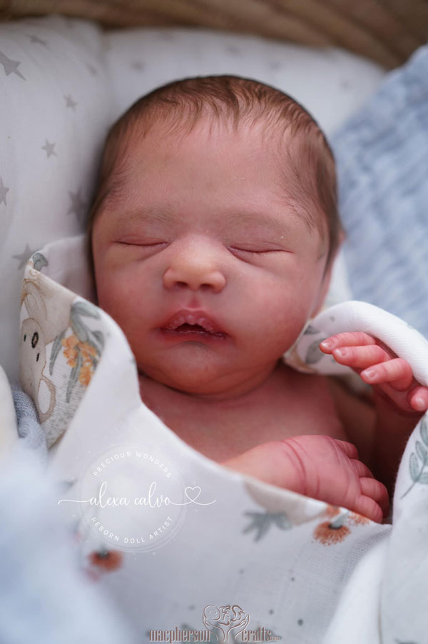 Alessandro by Cassie Ann Love