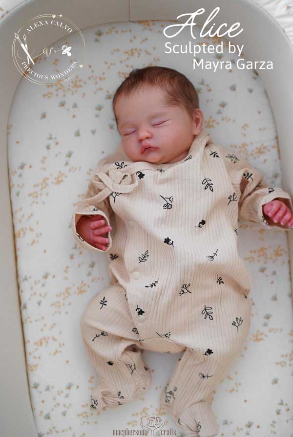 Alice by Mayra Garza