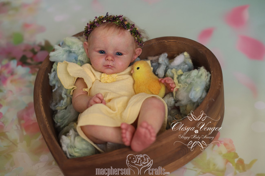 Archie by Julia Homa