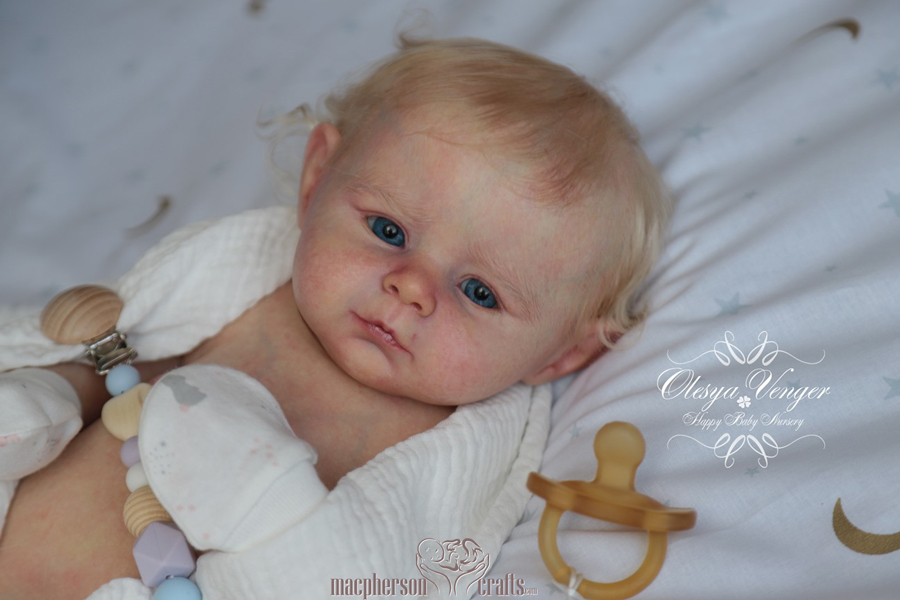 Archie by Julia Homa