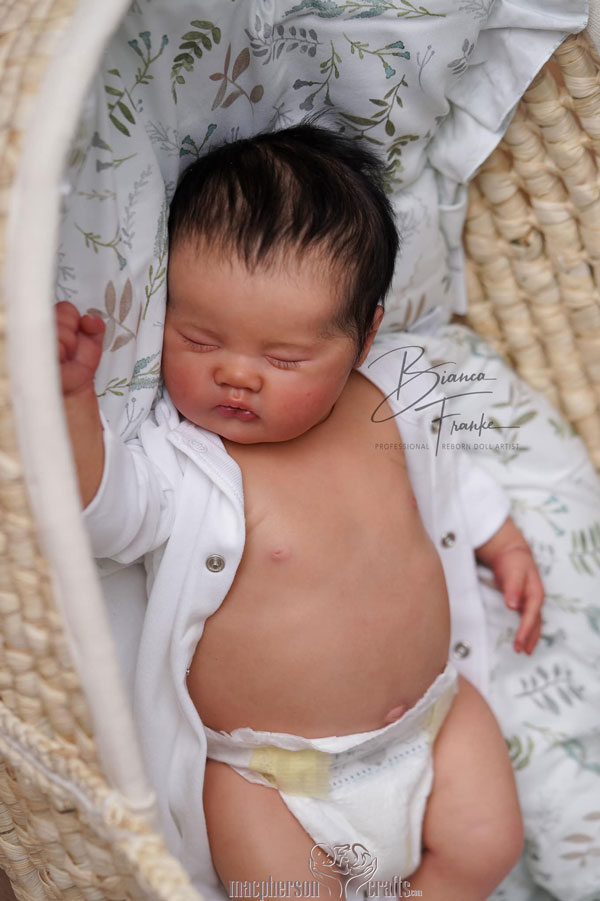 Ashia by Laura Lee Eagles