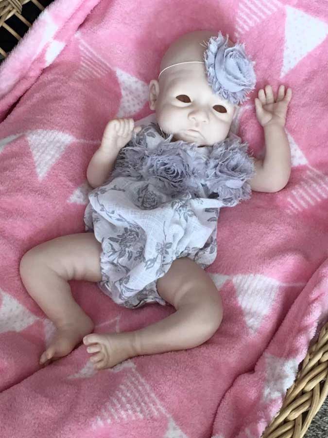 Aster by Toby Morgan