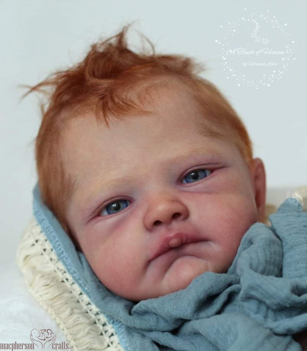 August Awake by Dawn McLeod