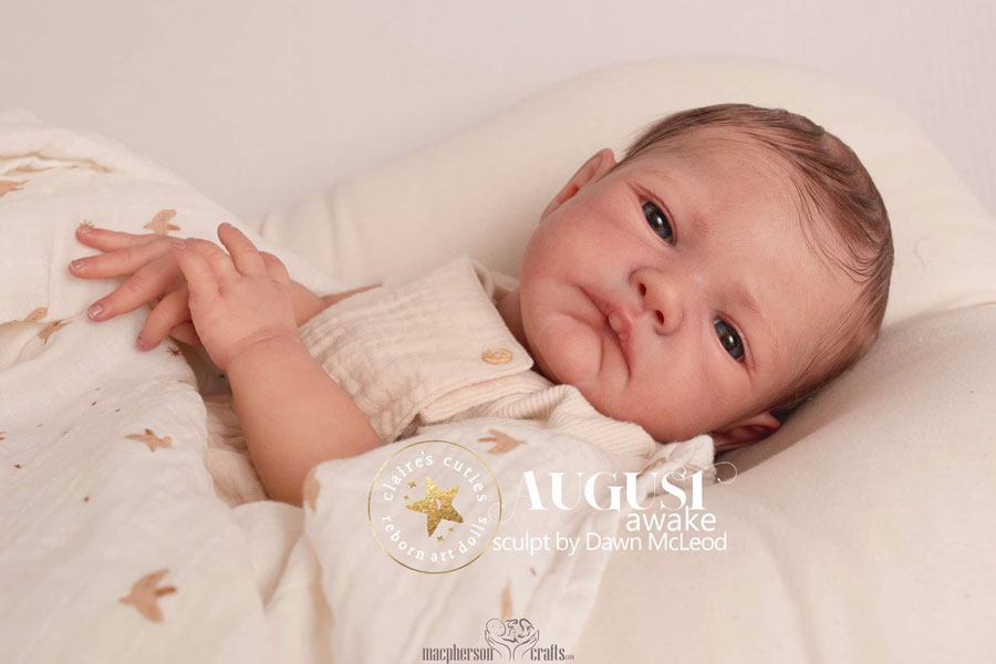 August Awake by Dawn McLeod