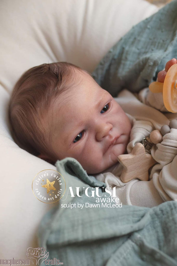 August Awake by Dawn McLeod