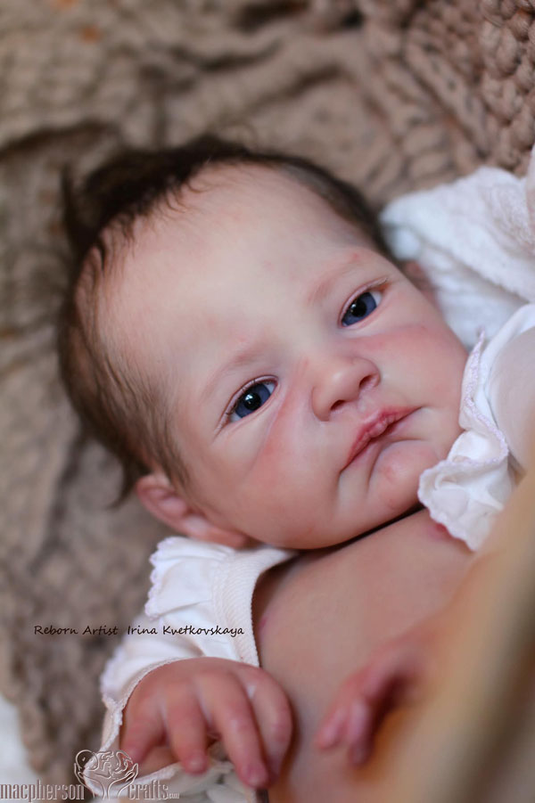 August Awake by Dawn McLeod