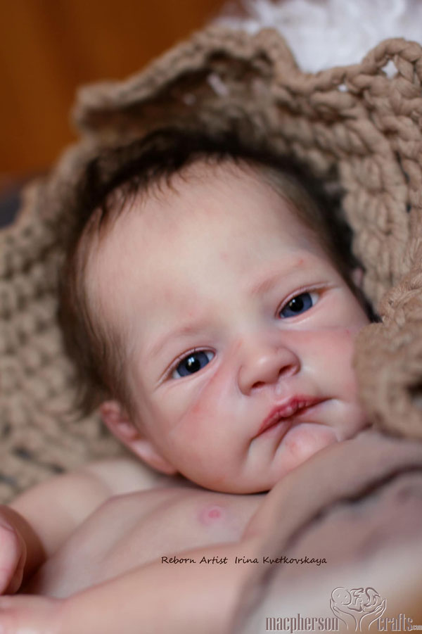 August Awake by Dawn McLeod