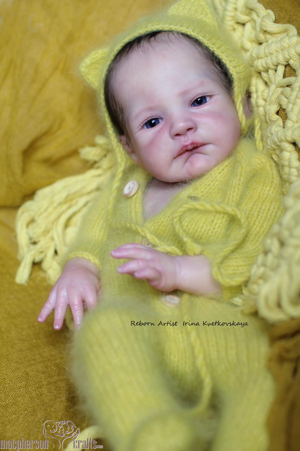 August Awake by Dawn McLeod