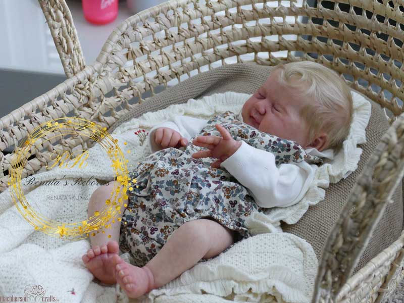 Bella by Sandy Faber