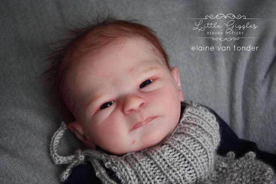 Brodie by Melody Hess