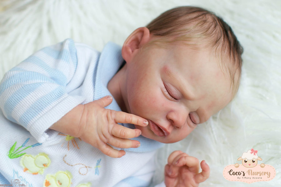 Charlee by Andrea Arcello