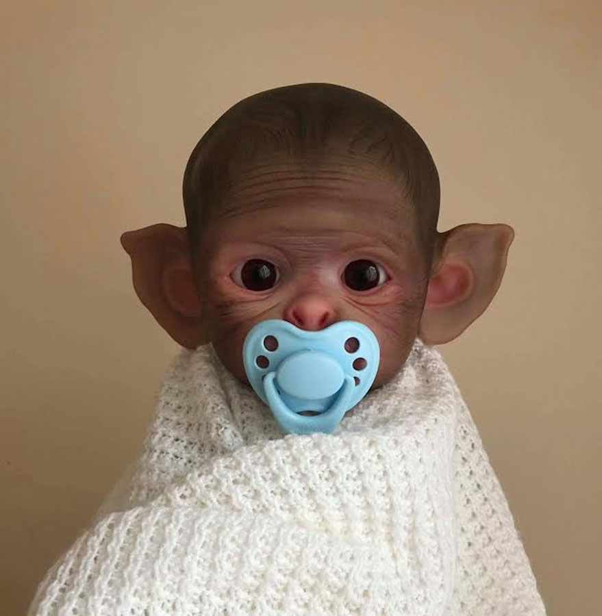 Cheeky Monkey by Phil Donnelly