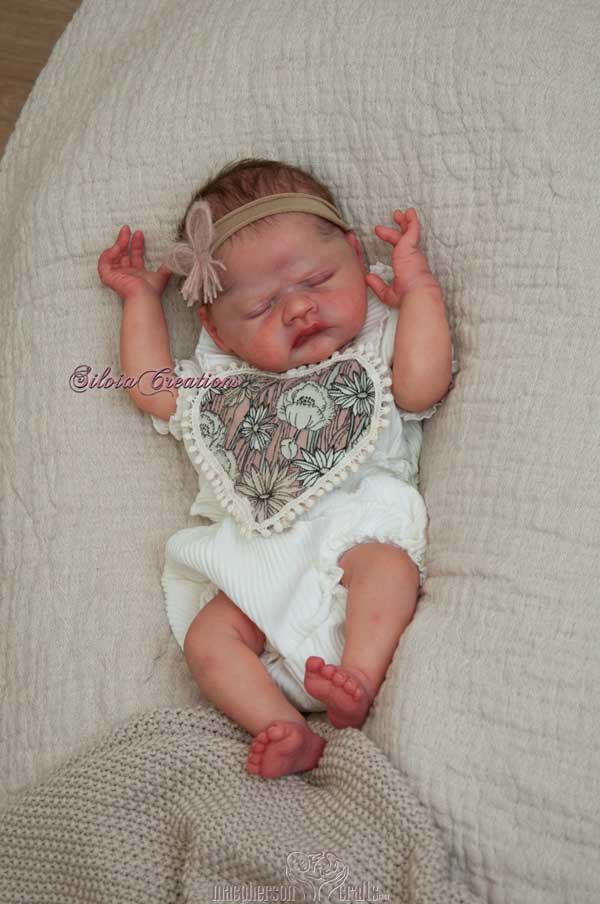 Estela by Teresa de Castro