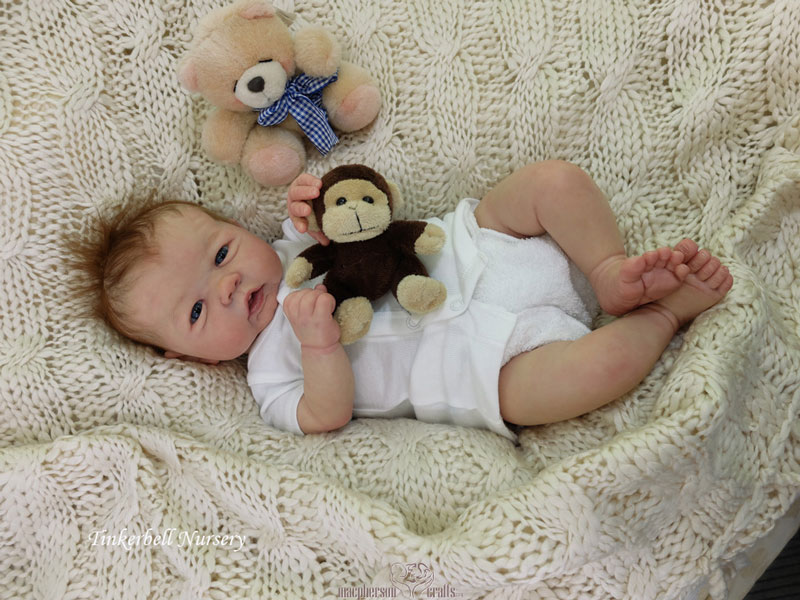 Freddy by Sandy Faber