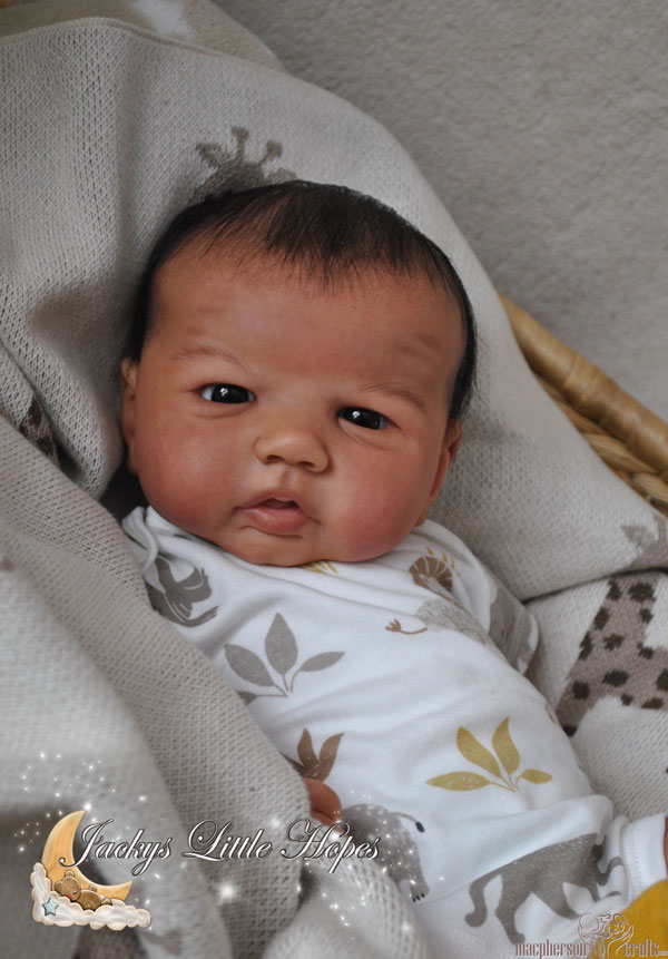 Freddy by Sandy Faber