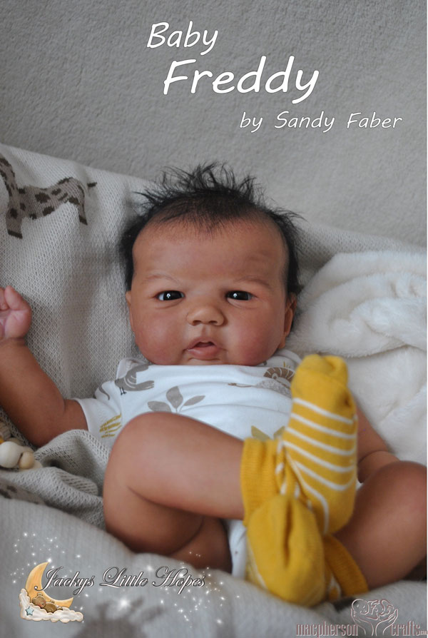 Freddy by Sandy Faber