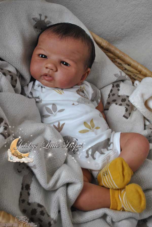 Freddy by Sandy Faber