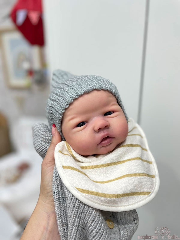 Freddy by Sandy Faber