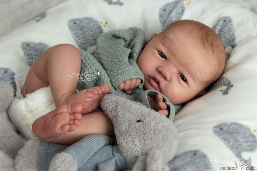 Freddy by Sandy Faber