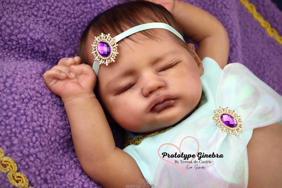 Ginebra by Teresa de Castro