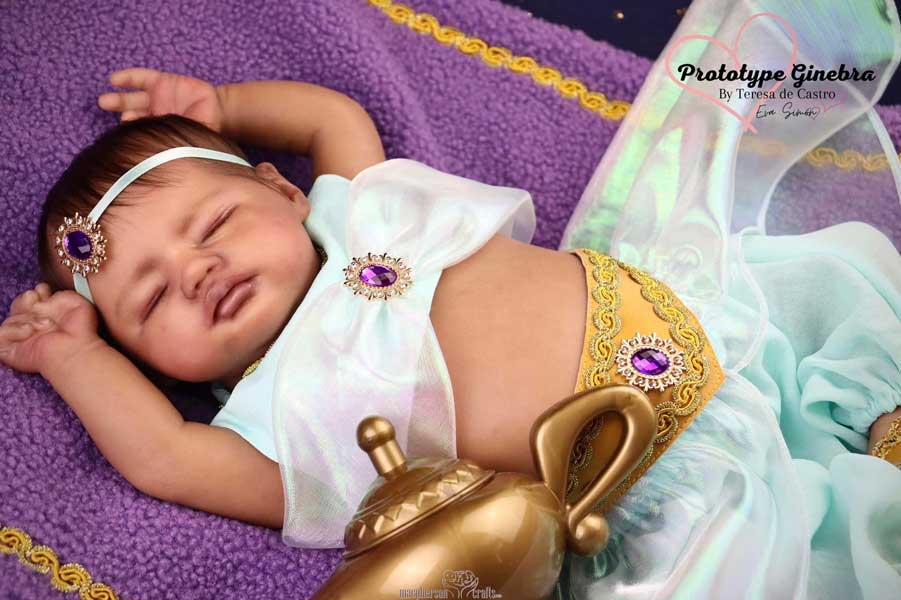 Ginebra by Teresa de Castro