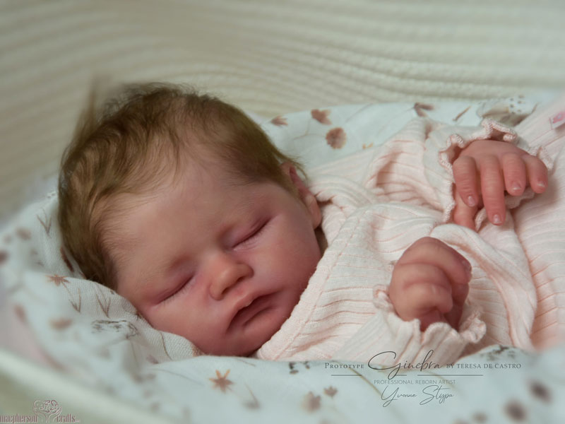 Ginebra by Teresa de Castro