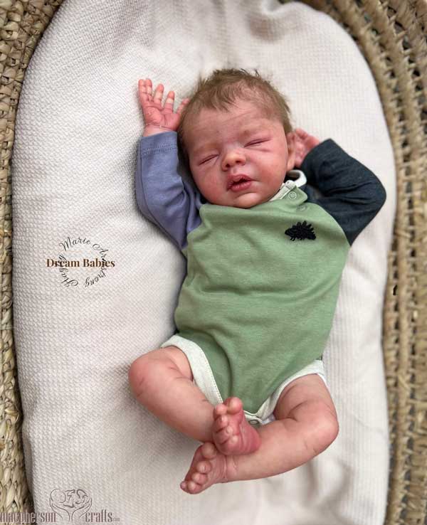 Greer by Dawn McLeod