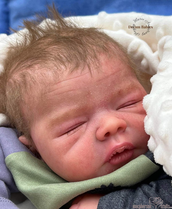 Greer by Dawn McLeod