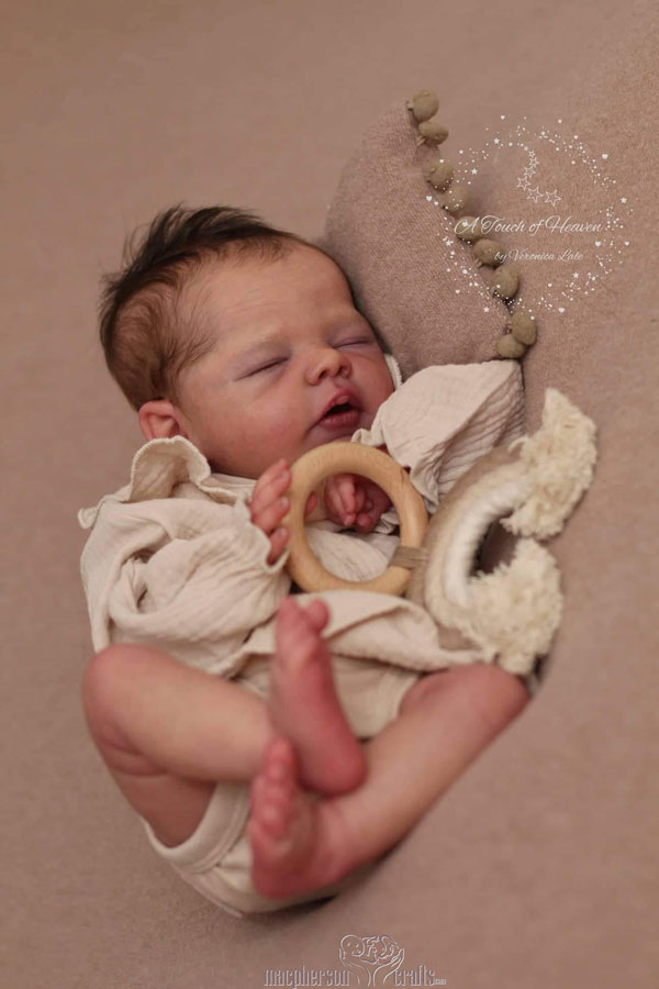 Greer by Dawn McLeod