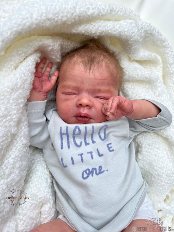 Greer by Dawn McLeod