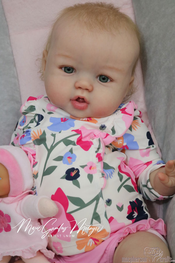 Harper by Sandy Faber