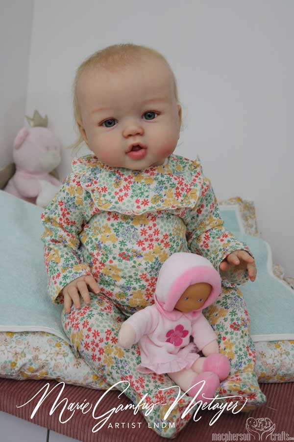 Harper by Sandy Faber