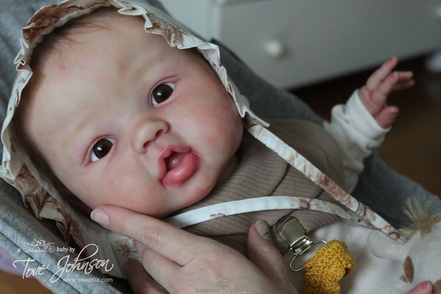 Harper by Sandy Faber