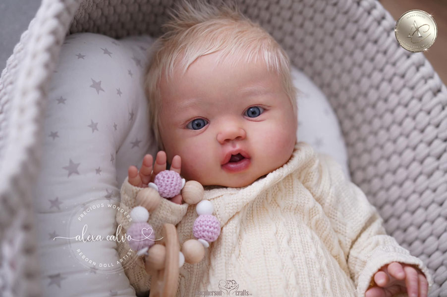 Harper by Sandy Faber
