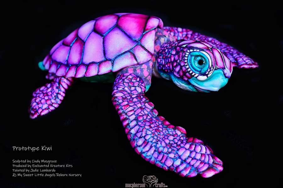 Kiwi by Cindy Musgrove