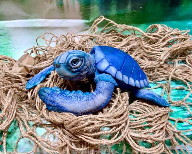 Kiwi by Cindy Musgrove