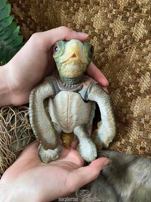 Kiwi by Cindy Musgrove