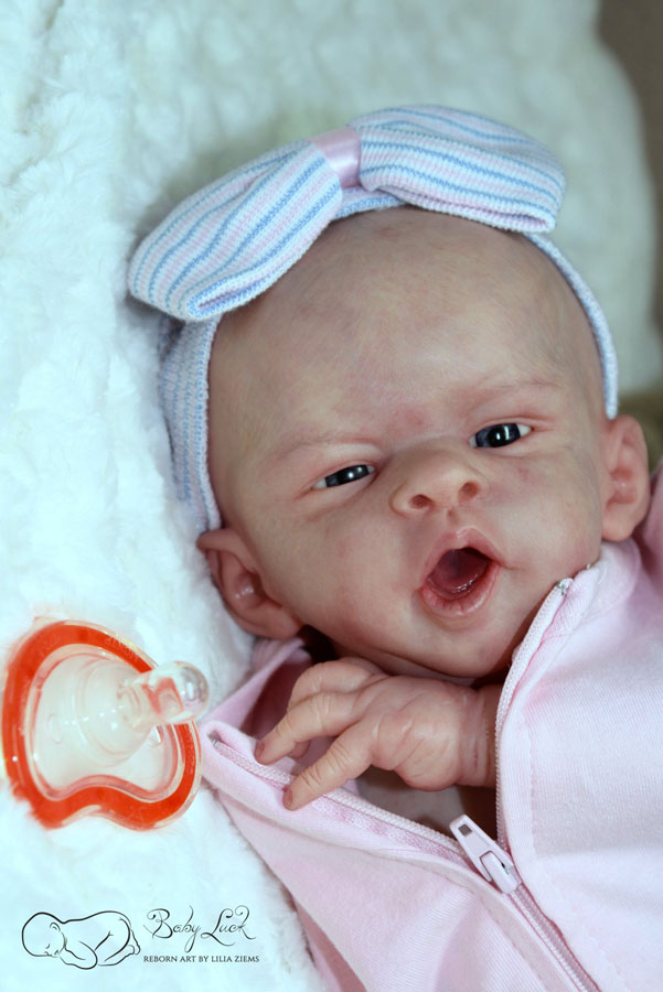 Lil Yawn by Phil Donnelly