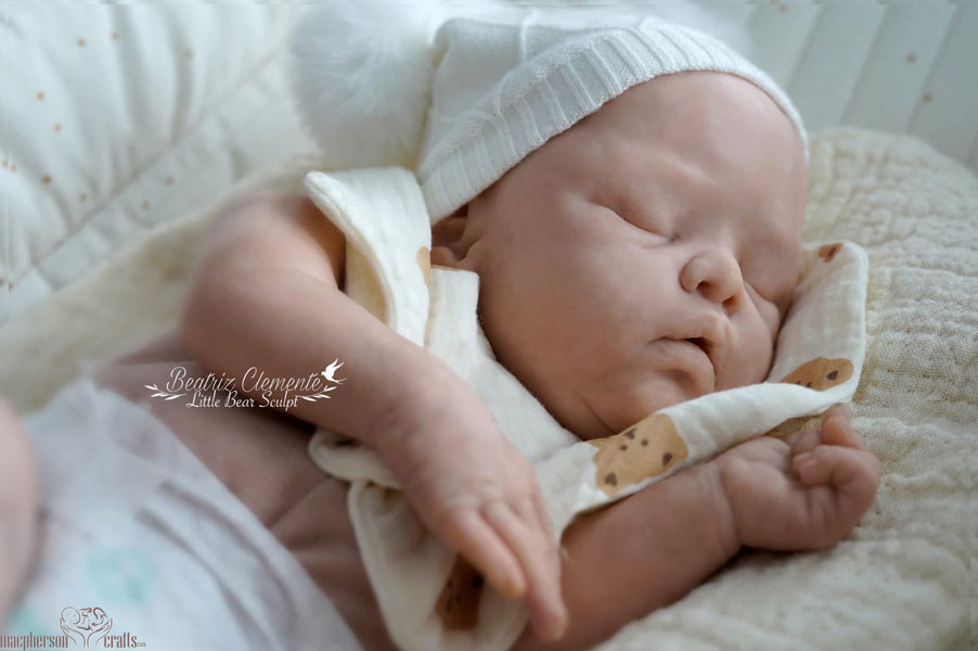 Little Bear by Beatriz Clemente